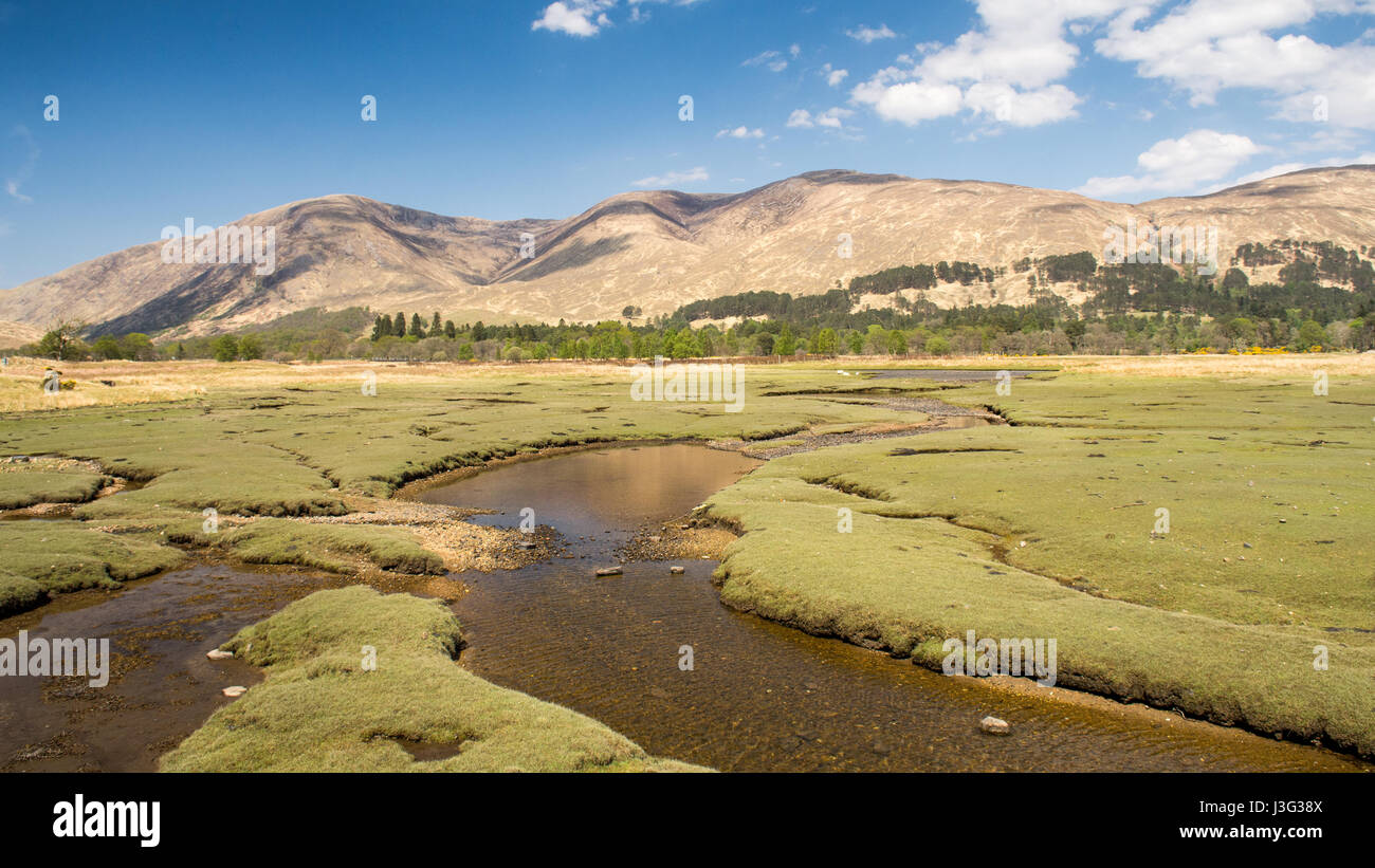 The salt marsh at Inverscaddle Bay in the West Highlands of Scotland ...