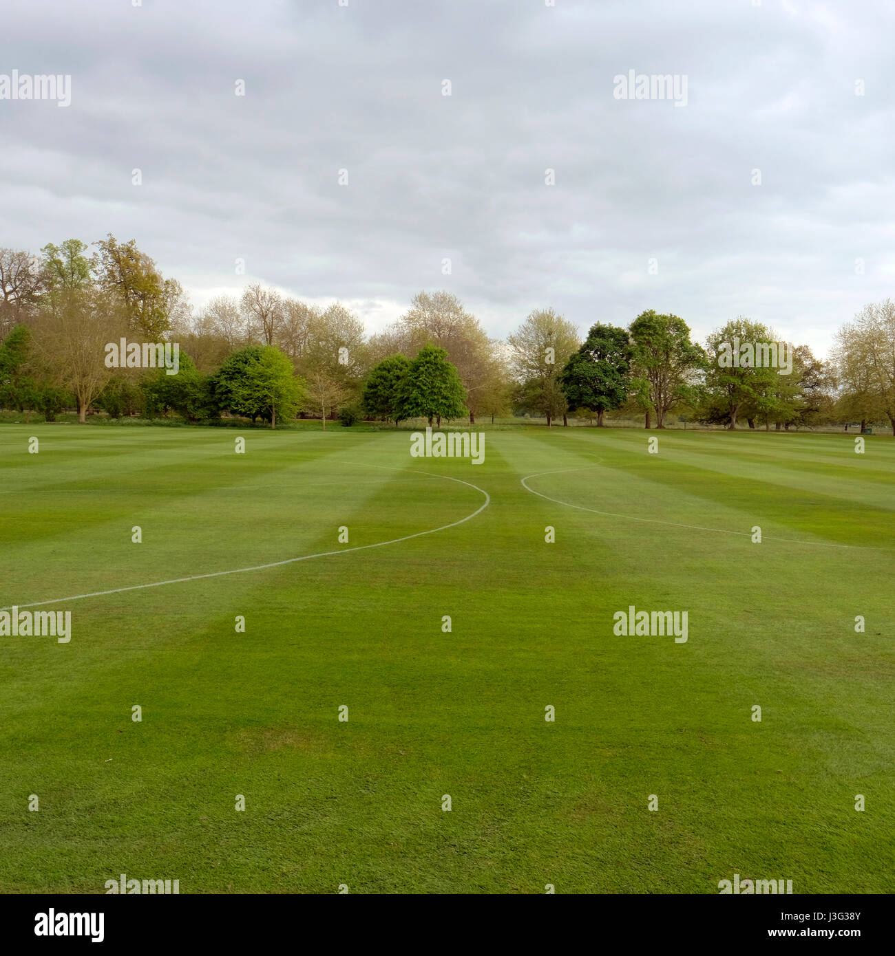 Grass playing field Stock Photo - Alamy