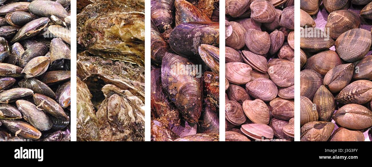 Collage of crustaceans Stock Photo - Alamy