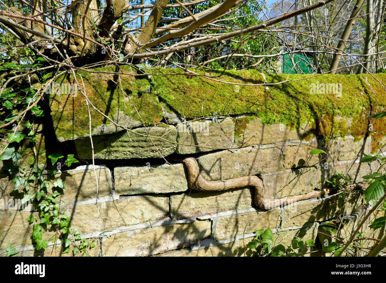 See through walls hi-res stock photography and images - Alamy