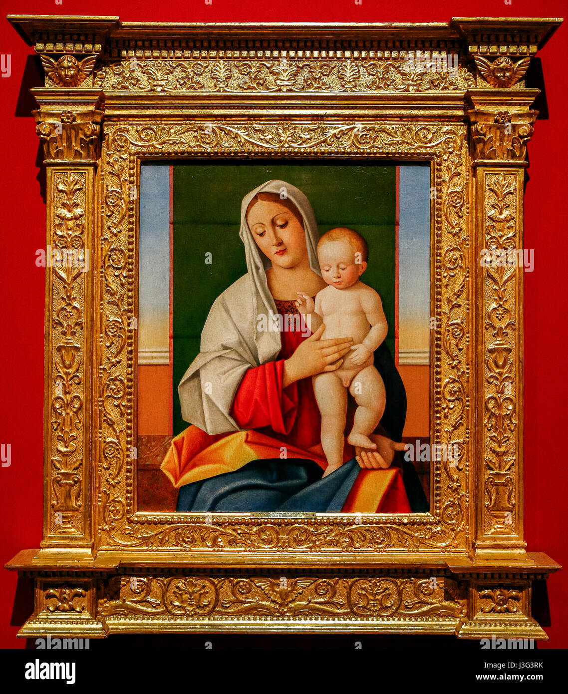 Pesaro: Show Secret Renaissance: Marco Bello: Madonna with the Blessed ...