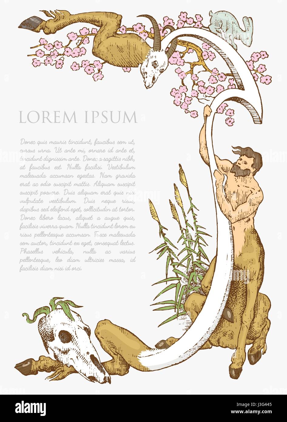 Hand drawn medieval or ancient frame decoration with skulls, rabbit and ...