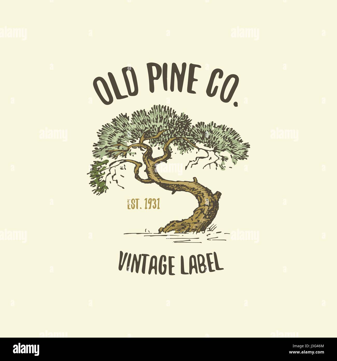 pine tree logo engraved or hand drawn, isolated old looking emblem for ...