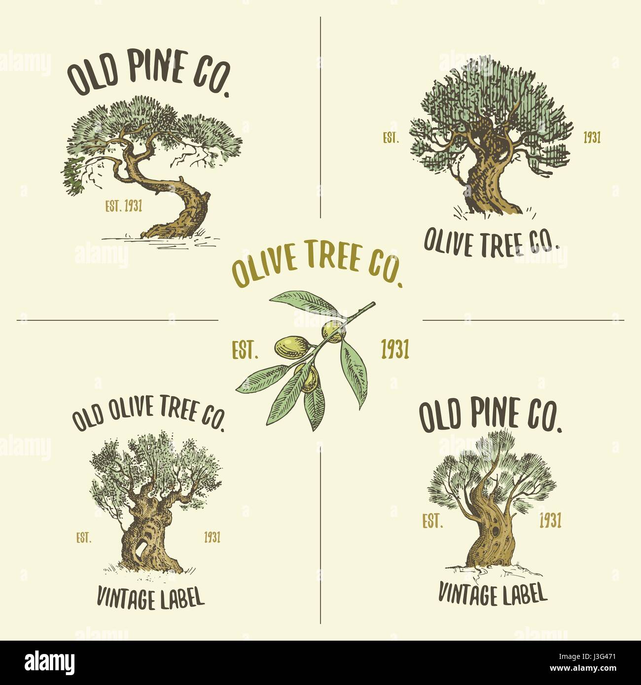 olive and pine tree logos engraved or hand drawn, isolated old looking ...