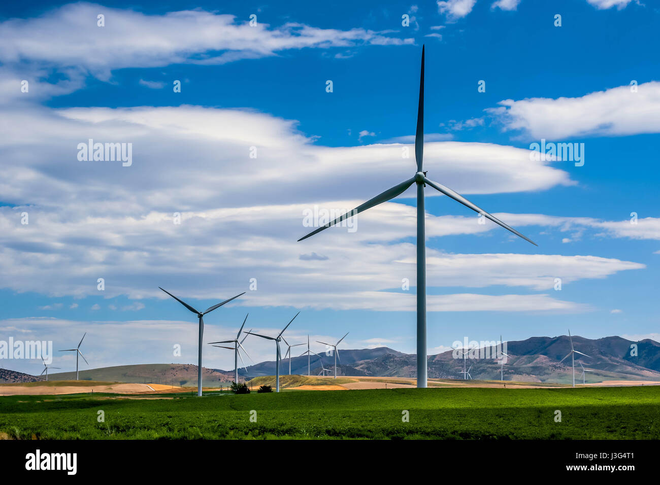 Wind turbines and blue sky Stock Photo - Alamy