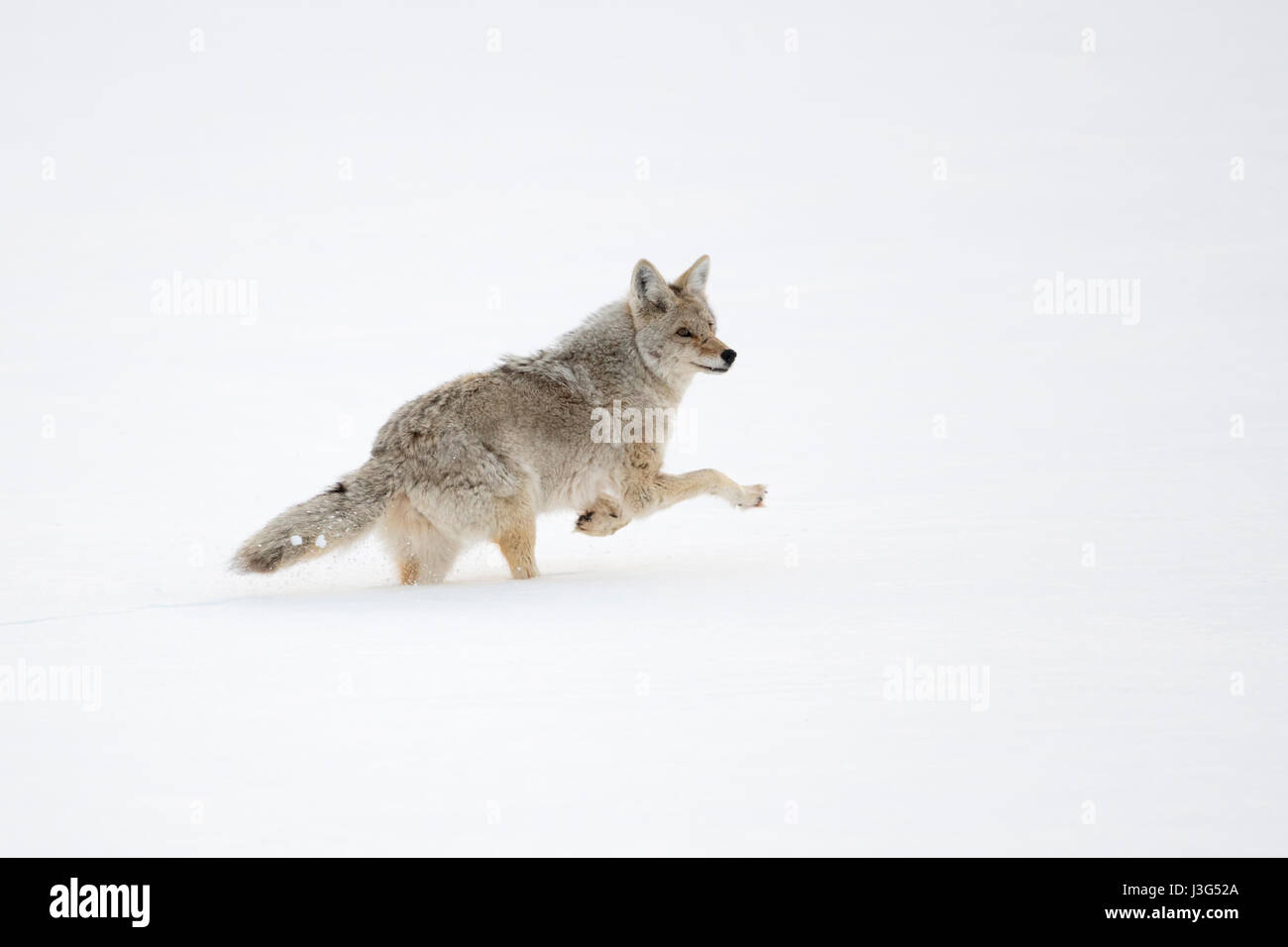 Back action picture hi-res stock photography and images - Alamy