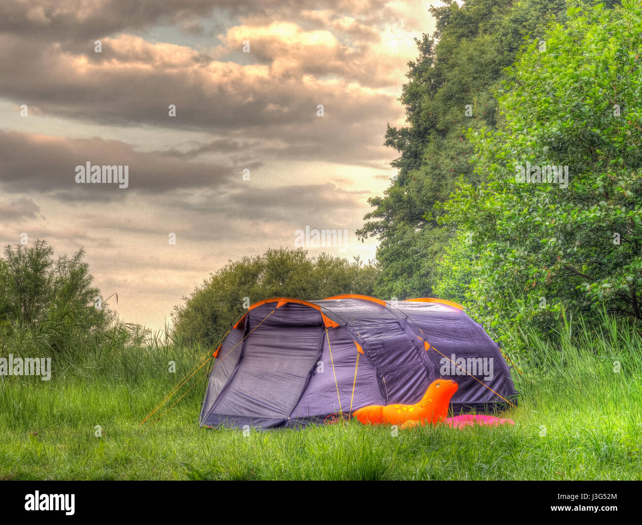 Grey tent in a forest clearing Stock Photo - Alamy