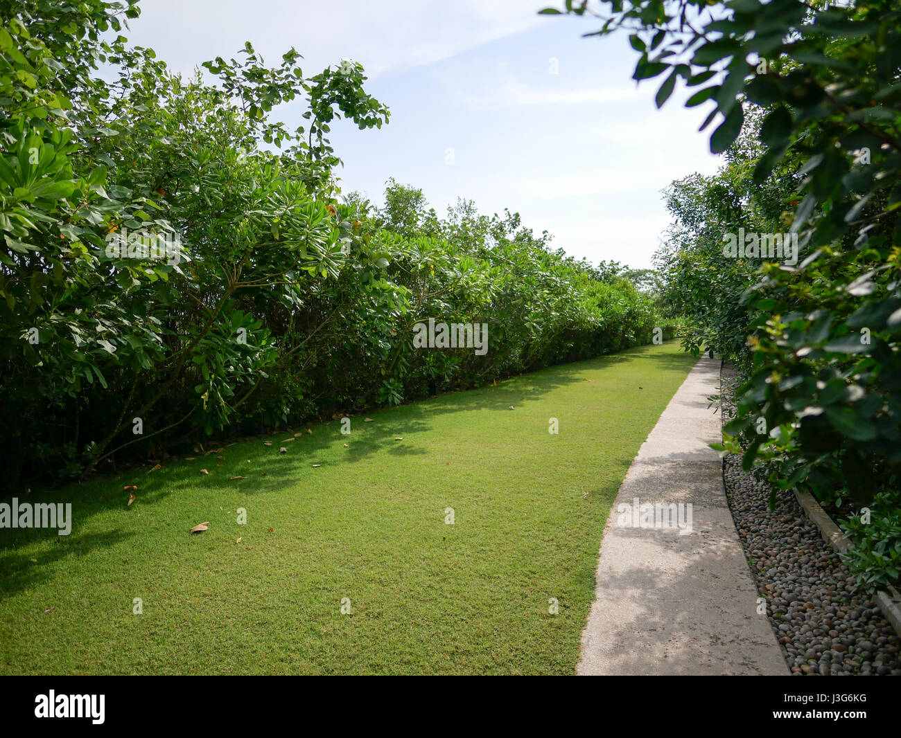 Pathway along side with trees and lawn in the park Stock Photo - Alamy