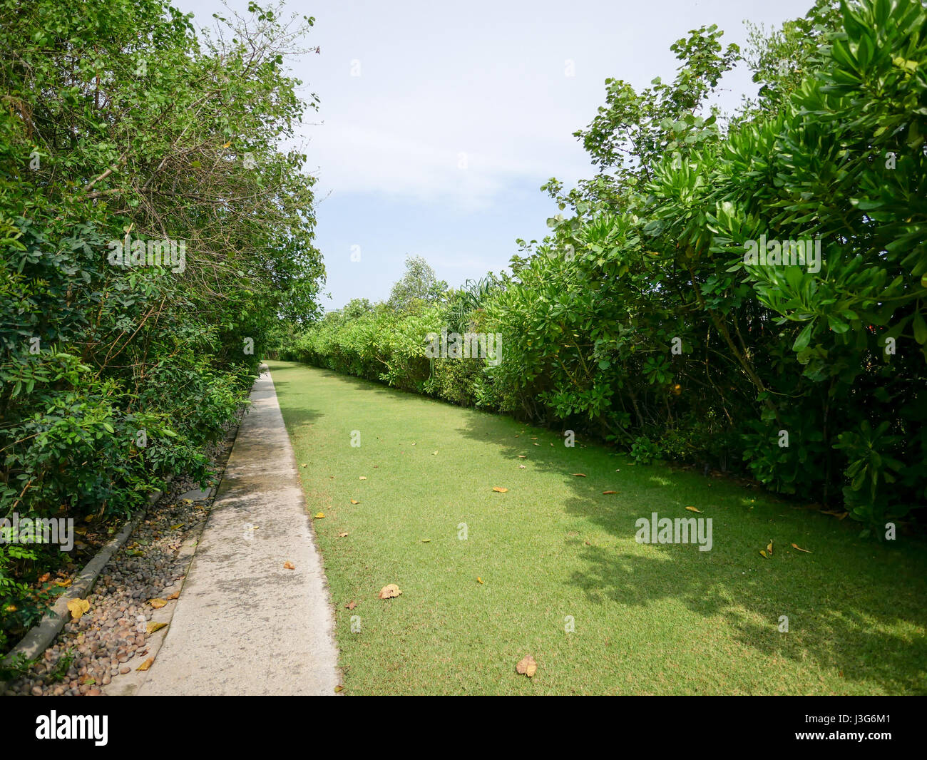 Pathway along side with trees and lawn in the park Stock Photo - Alamy