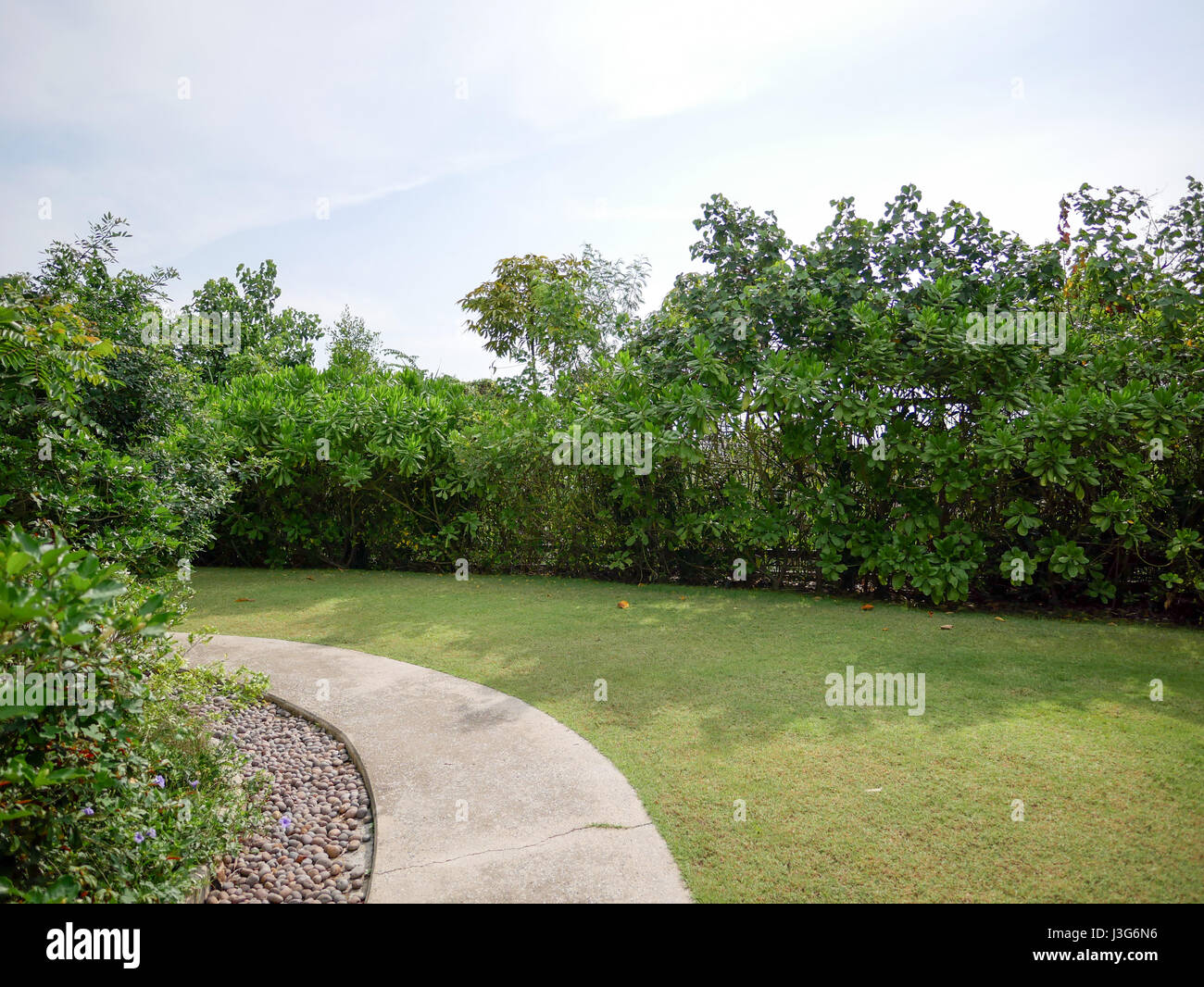Pathway along side with trees and lawn in the park Stock Photo - Alamy