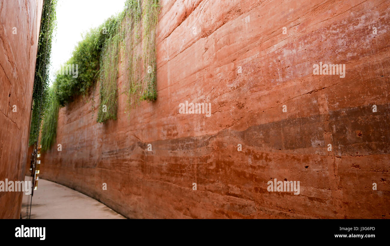 Vines hanging hi-res stock photography and images - Alamy