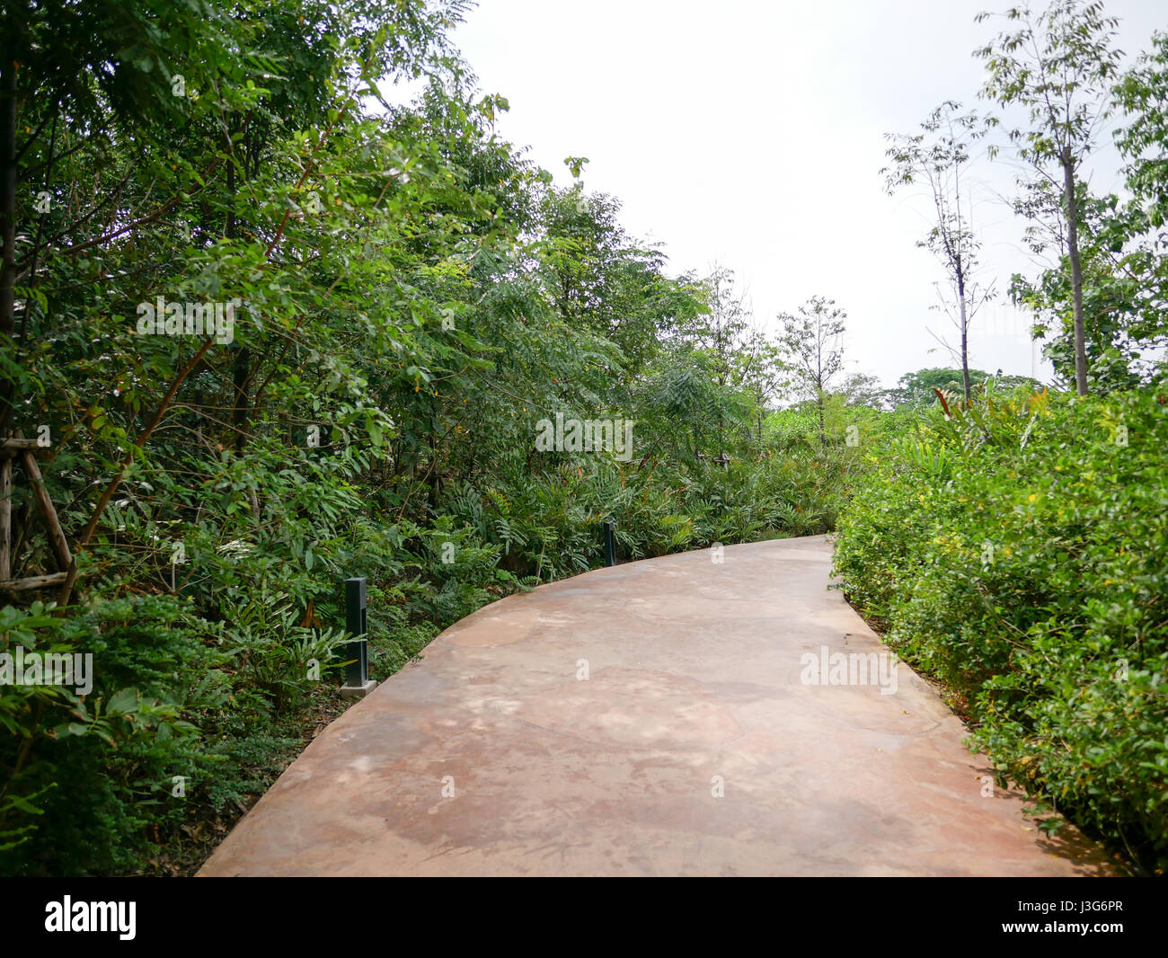 Pathway along side with trees in the park Stock Photo - Alamy