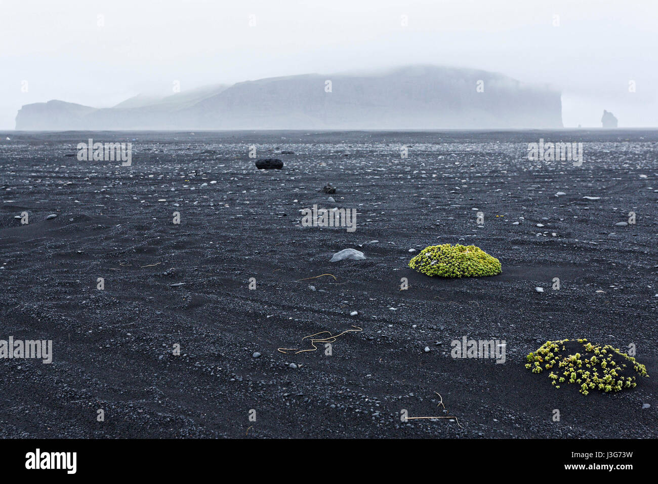 Coastal region fog hi-res stock photography and images - Alamy