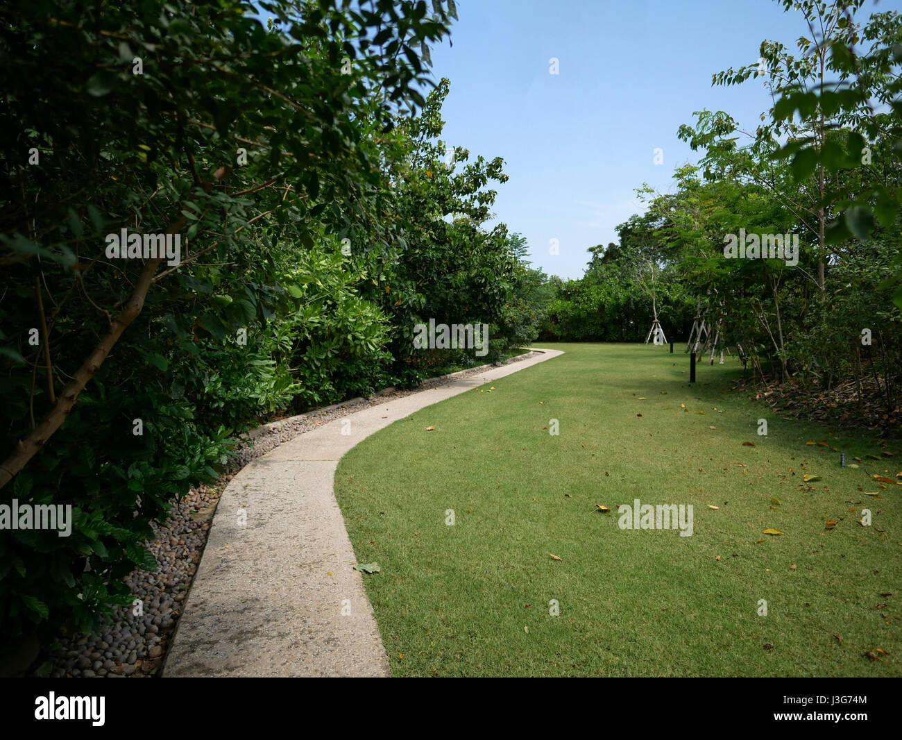 Pathway along side trees hi-res stock photography and images - Alamy