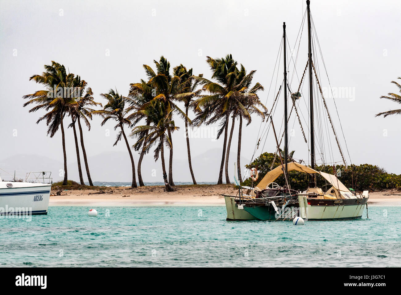 Catamaran Moored at Salt Whistle Bay with Palm Trees, Mayreau, Saint ...