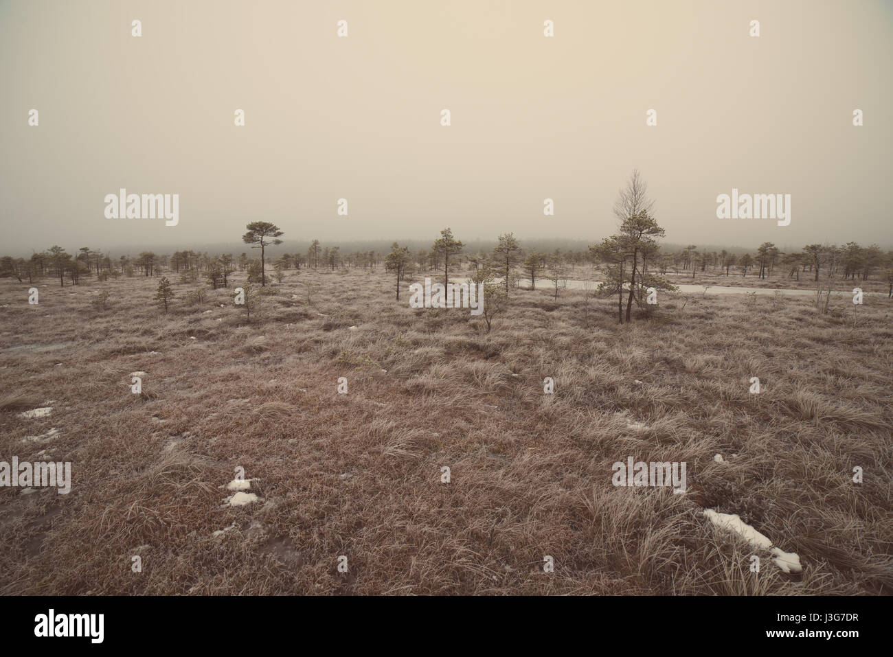snowy landscape in frosty winter bog in country side - aged photo ...