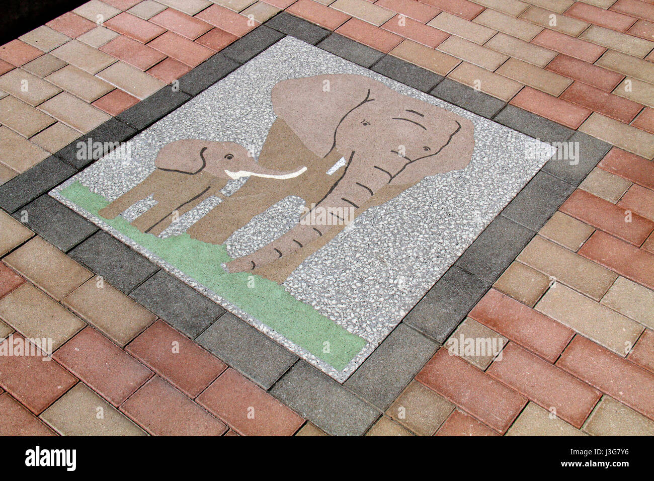 Tama zoolpgical park hi-res stock photography and images - Alamy