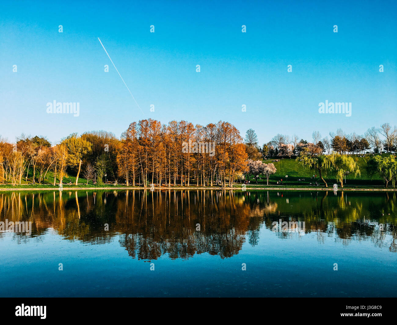 Beautiful Spring Trees Reflections In Water Lake Of Tineretului Park In ...