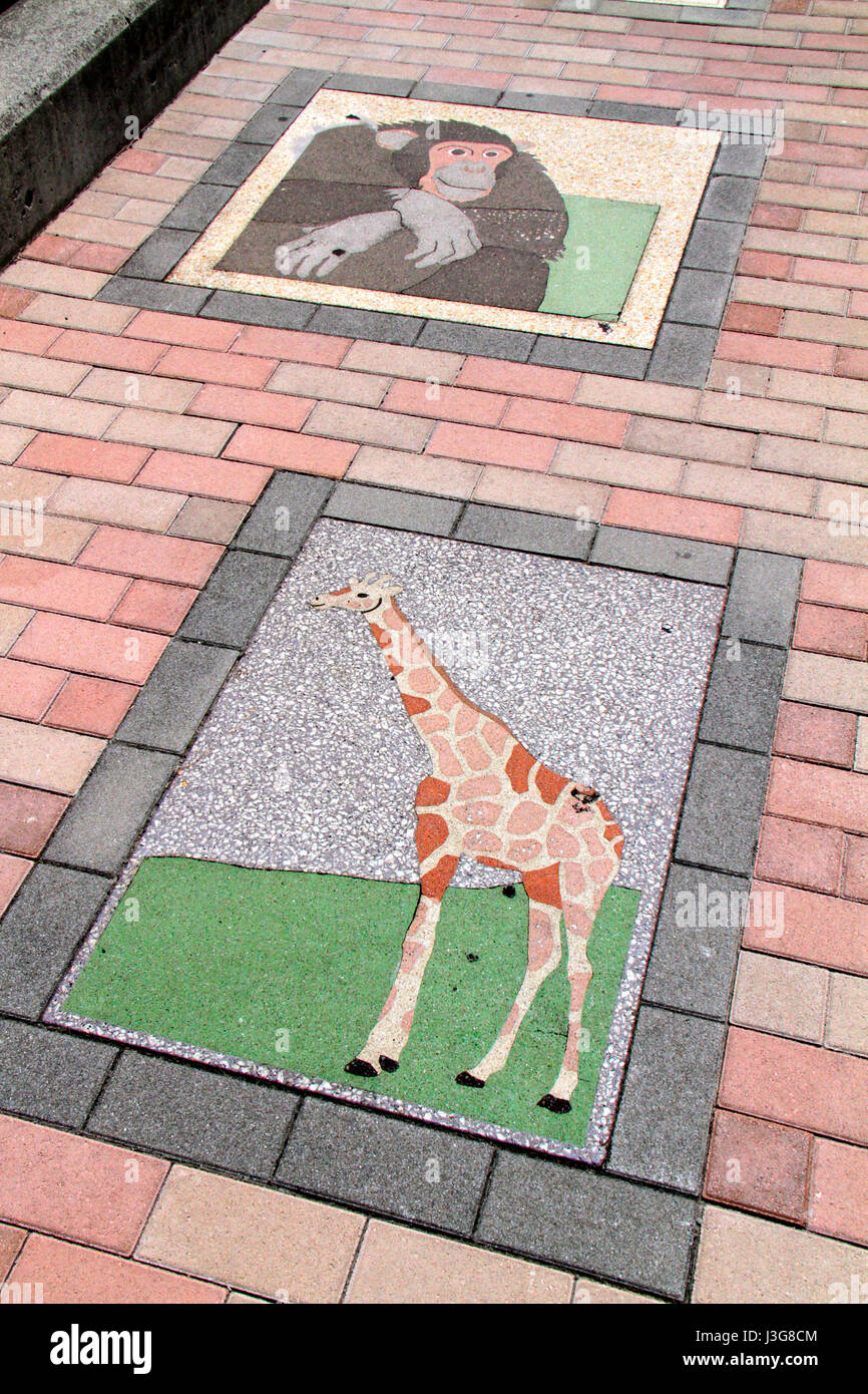 Tama zoolpgical park hi-res stock photography and images - Alamy