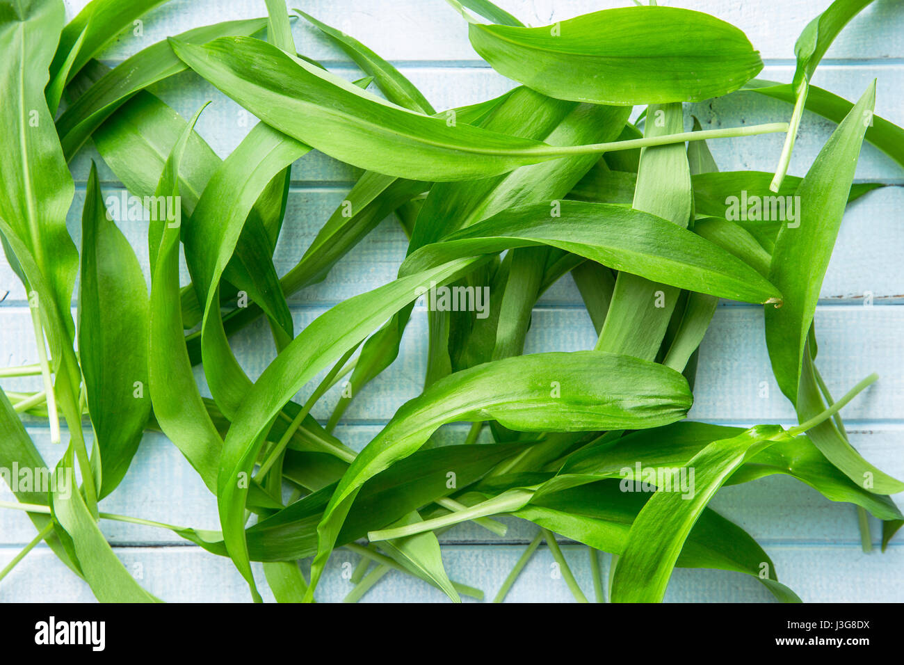 Ramson or wild garlic leaves on blue kitchen table. Top view Stock ...