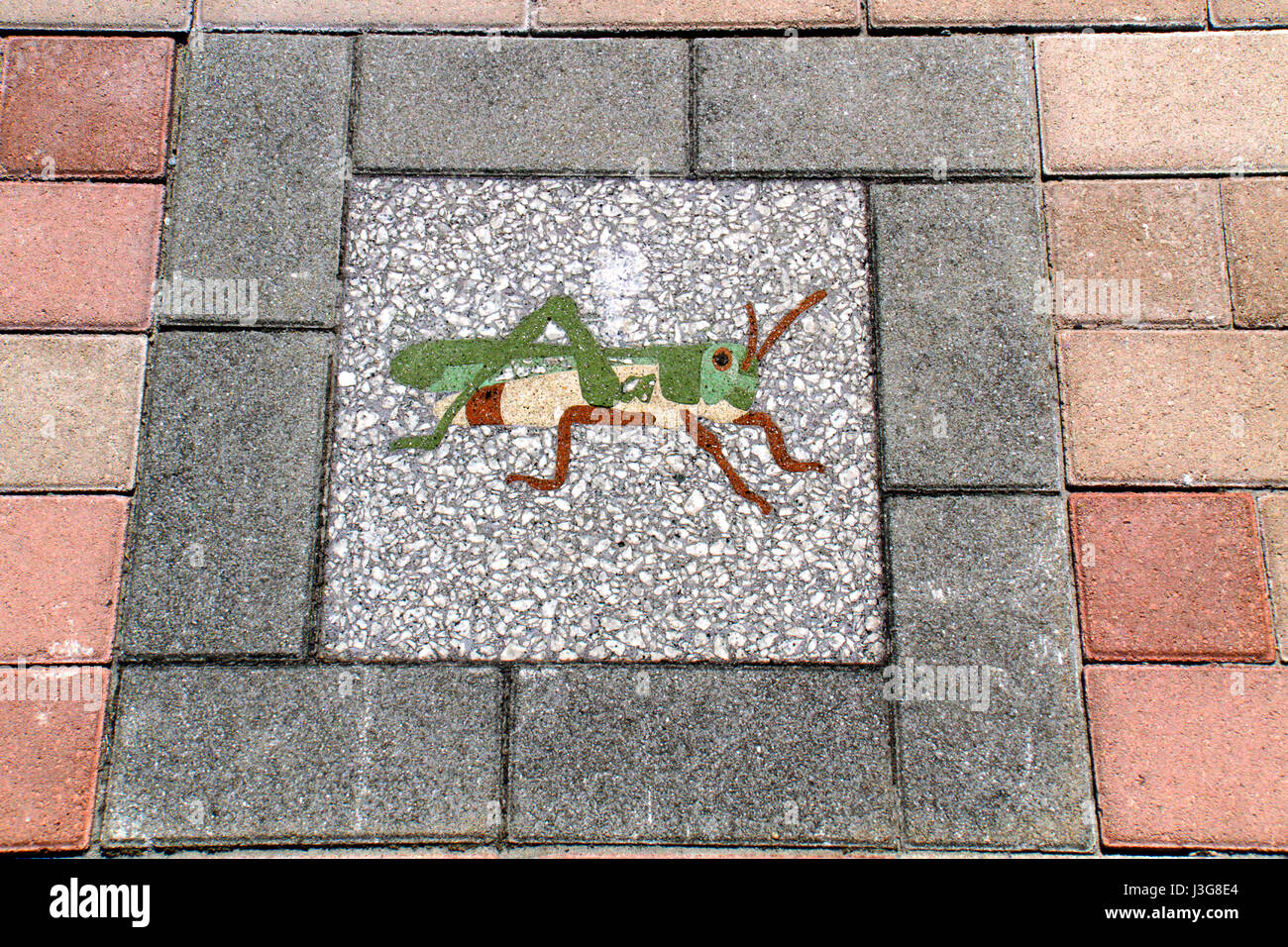 Illustrated Animal Pavement Tiles on the way to Tama Zoolpgical Park ...