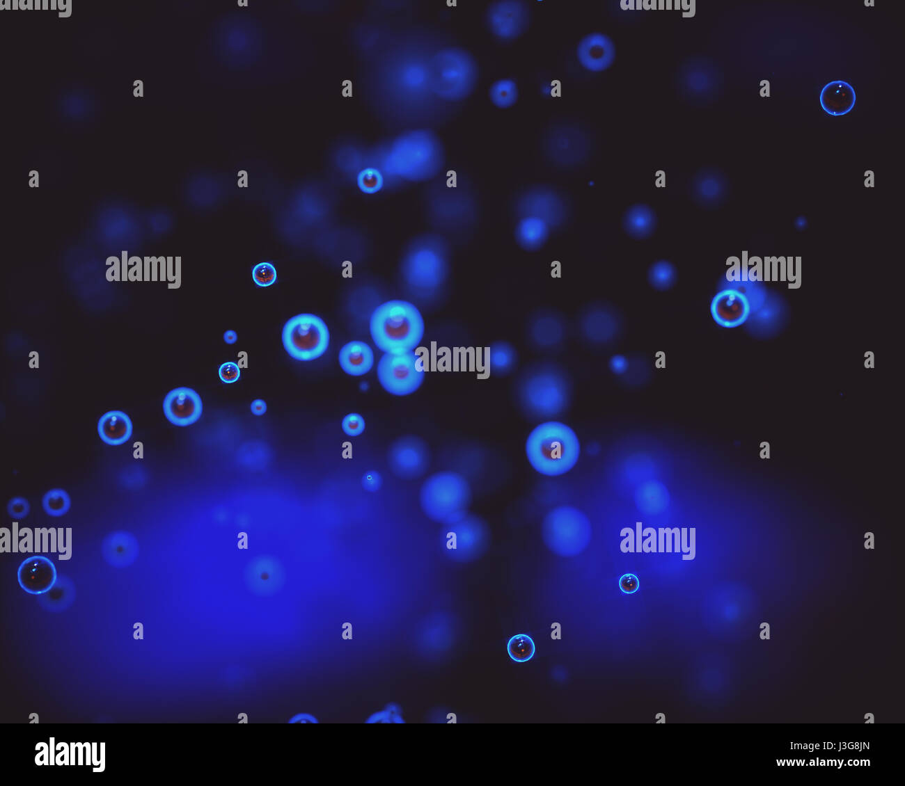 3D illustration. Abstract background of living microorganism Stock ...