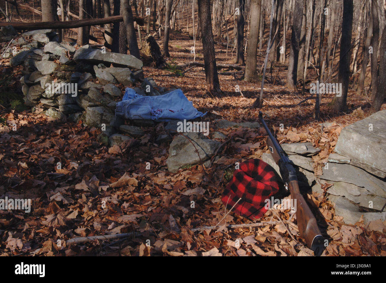 Red and black checked cap and gun in hunting season scene in fall ...