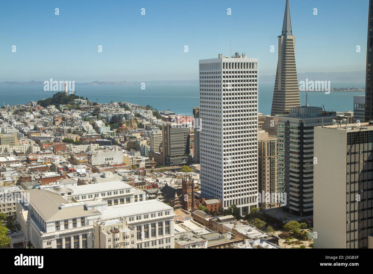 San Francisco skyline as seen from rooftop perspective in downtown ...