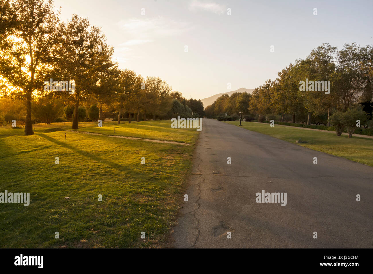 Sun light passing through leaves hi-res stock photography and images ...