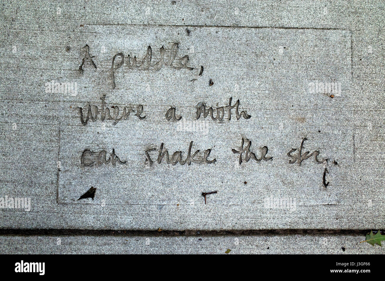 Poem engraved on the sidewalk: "a puddle where a moth can shake the sky ...