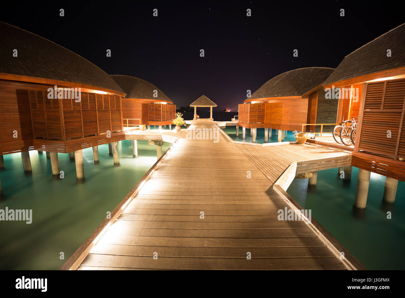 Tropical Paradise At Night