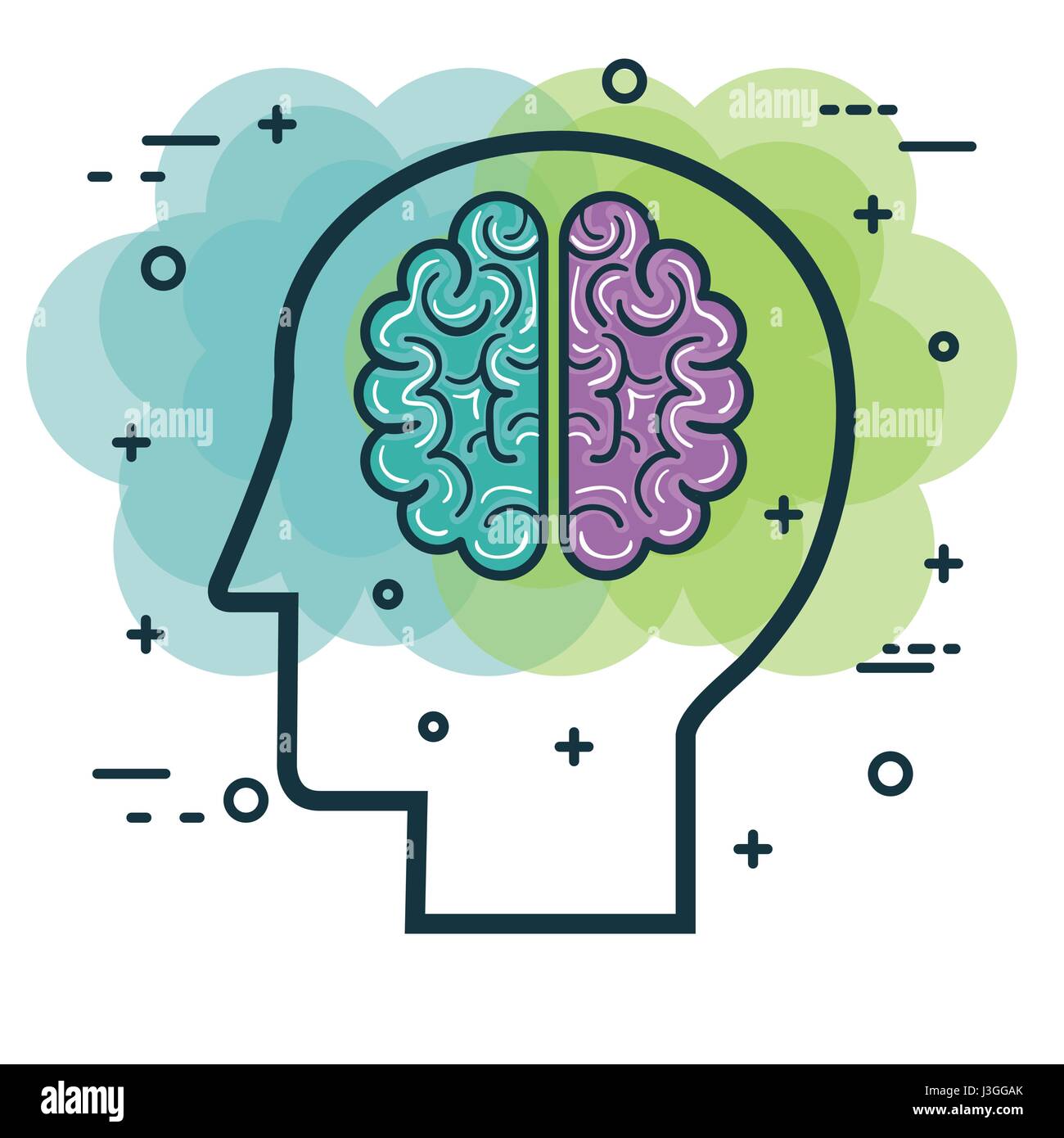 creative profile and brain Stock Vector Image & Art - Alamy