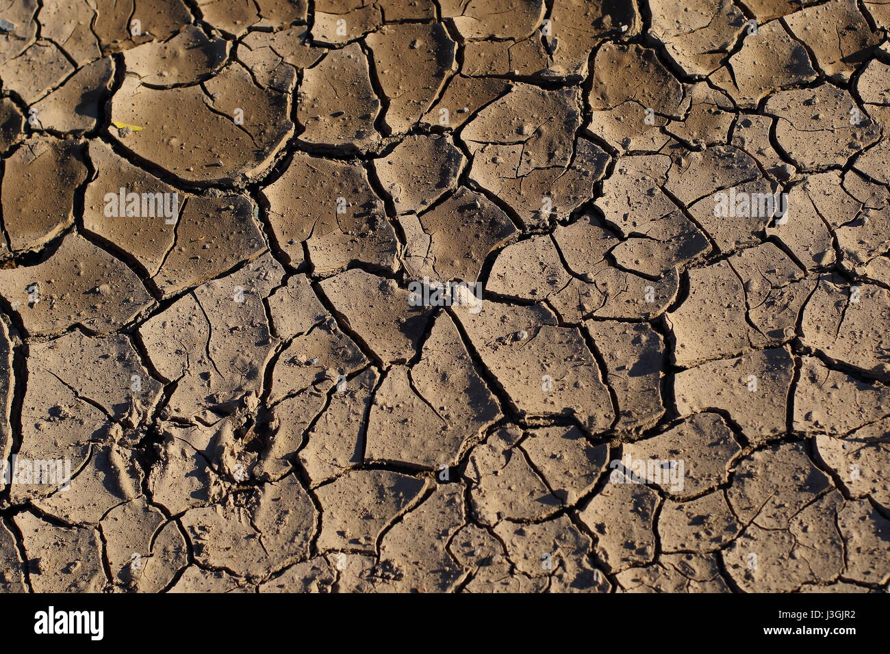 Wet surface soil dry and crack with the heat of the sun making mud ...
