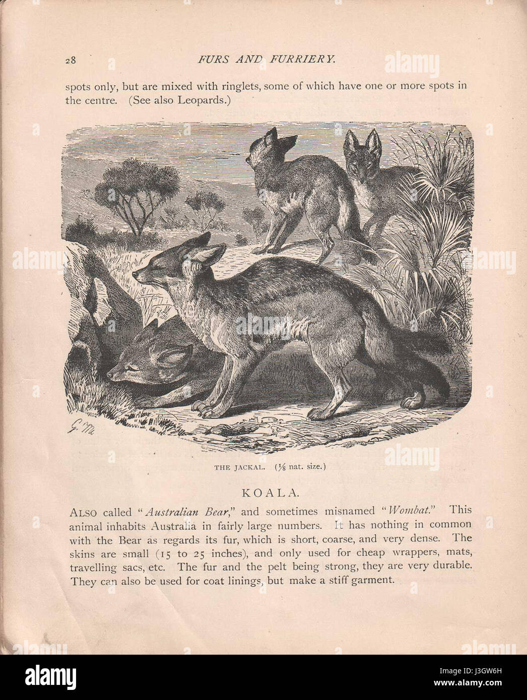 This book on furriery by R. Russ Winkler explores the fur industry ...