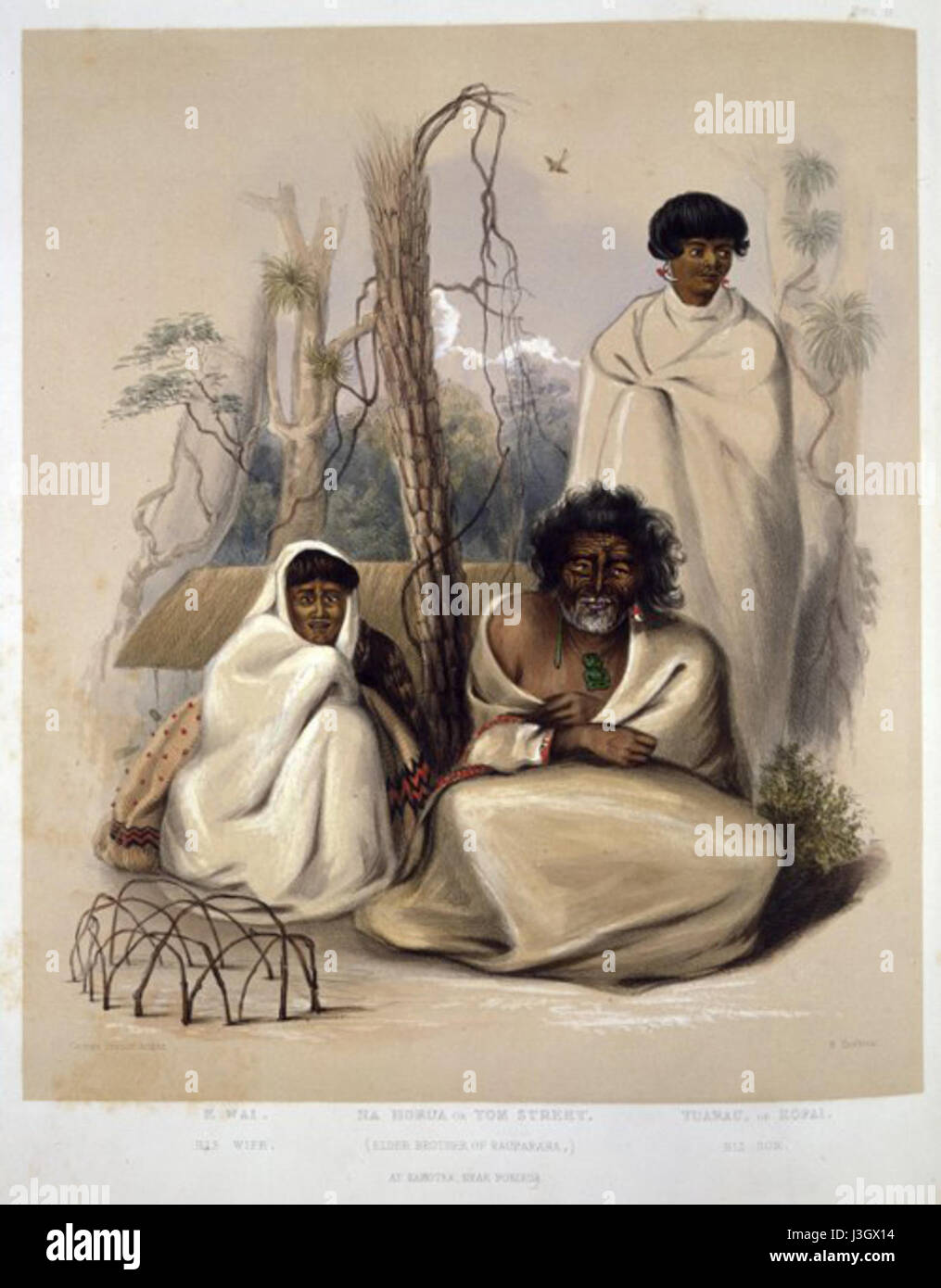 George French Angas was an English artist and naturalist known for his ...