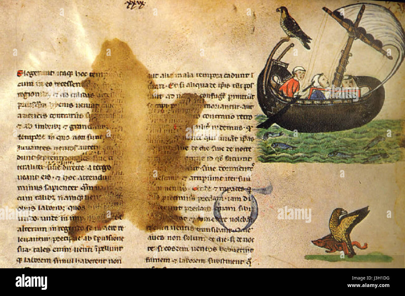 Falconry practice training birds hi-res stock photography and images ...