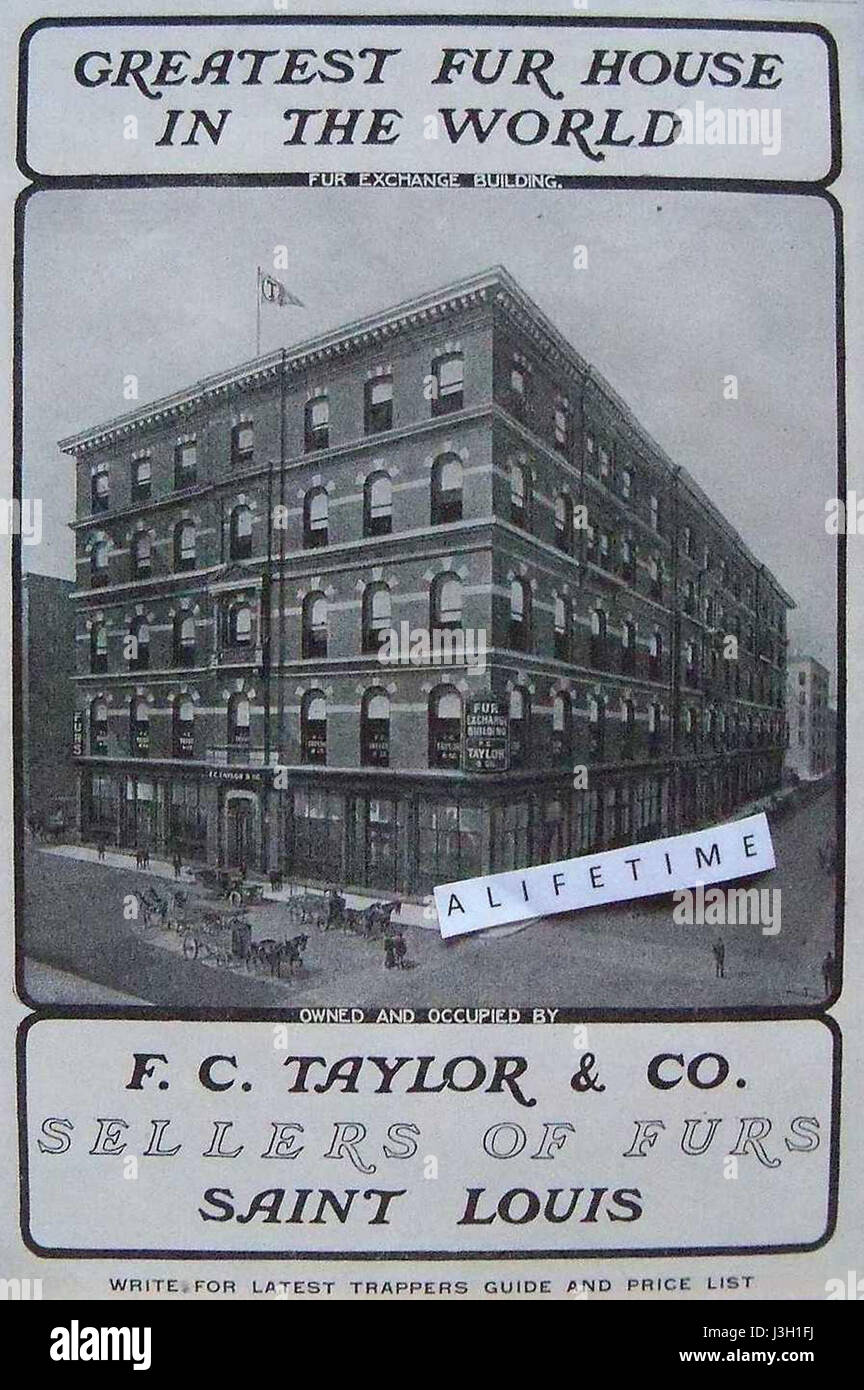 F. C. Taylor, Greatest Fur House in the World, St. Louis, USA 1909 ...