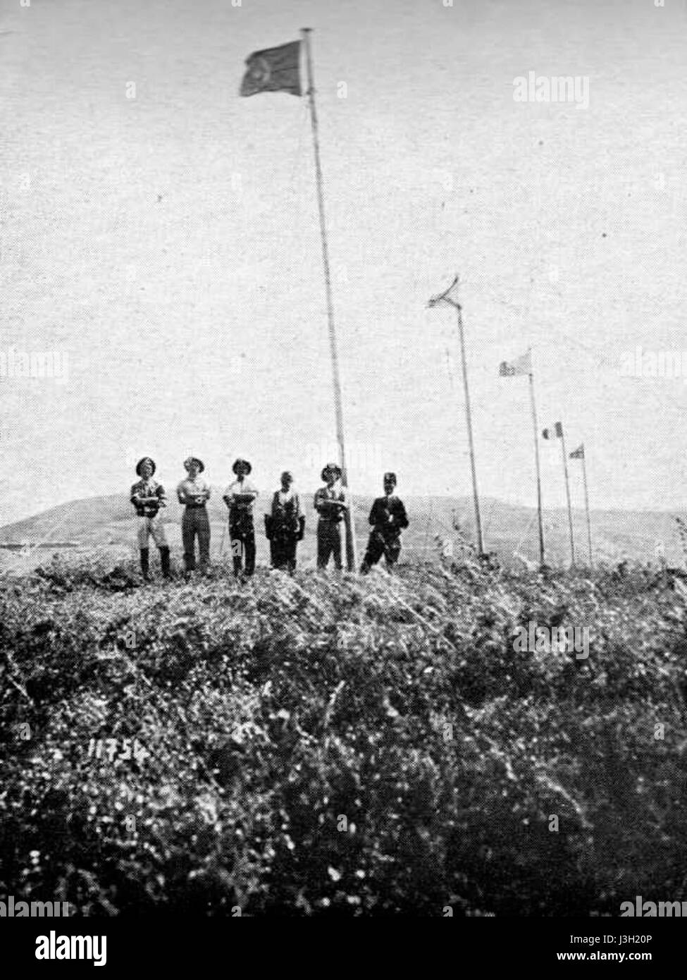 The Flags of Suda depict a collection of flags from various historical ...