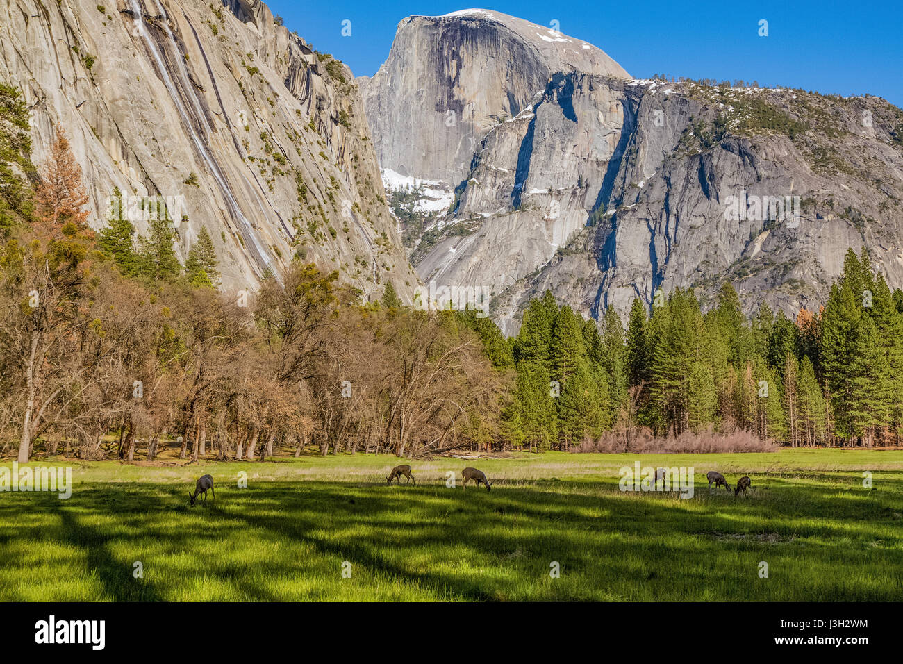 Cooks meadow yosemite hi-res stock photography and images - Alamy