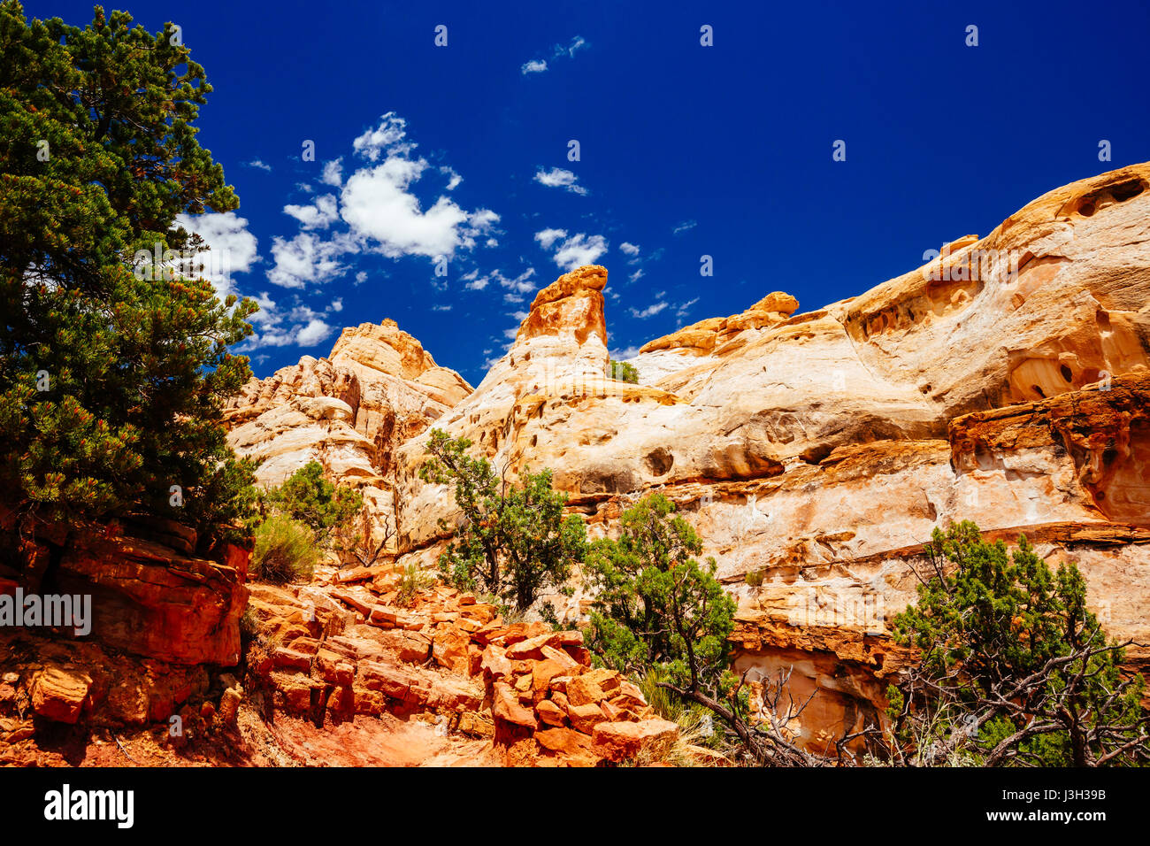 The trail to Hickman Bridge is Capitol Reef National Parks most popular ...