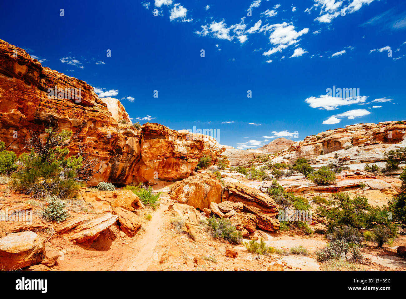 The trail to Hickman Bridge is Capitol Reef National Parks most popular ...