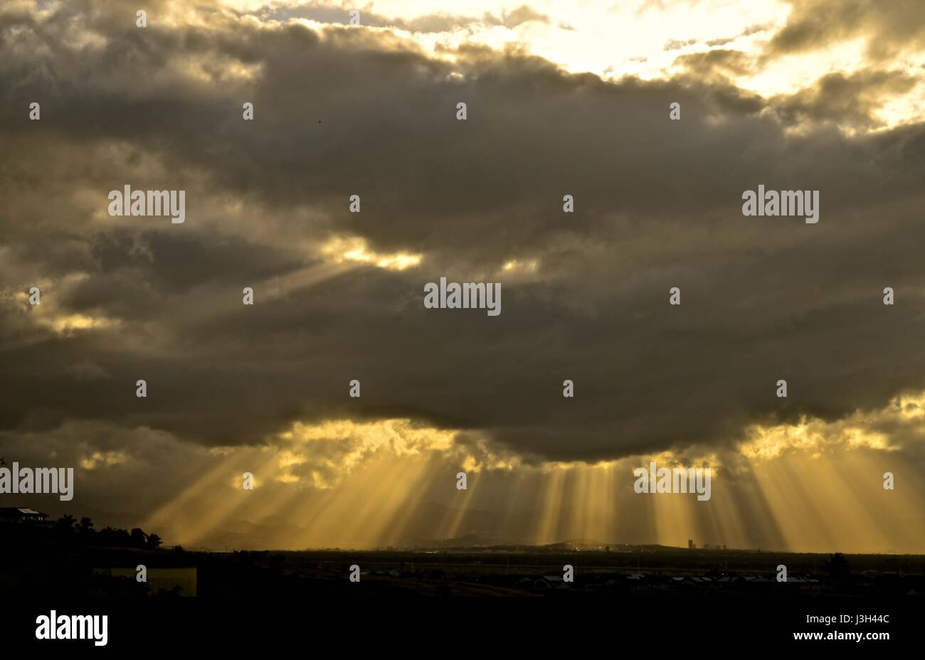God rays, angel lights, sunlit columns are the most beautiful sights ...