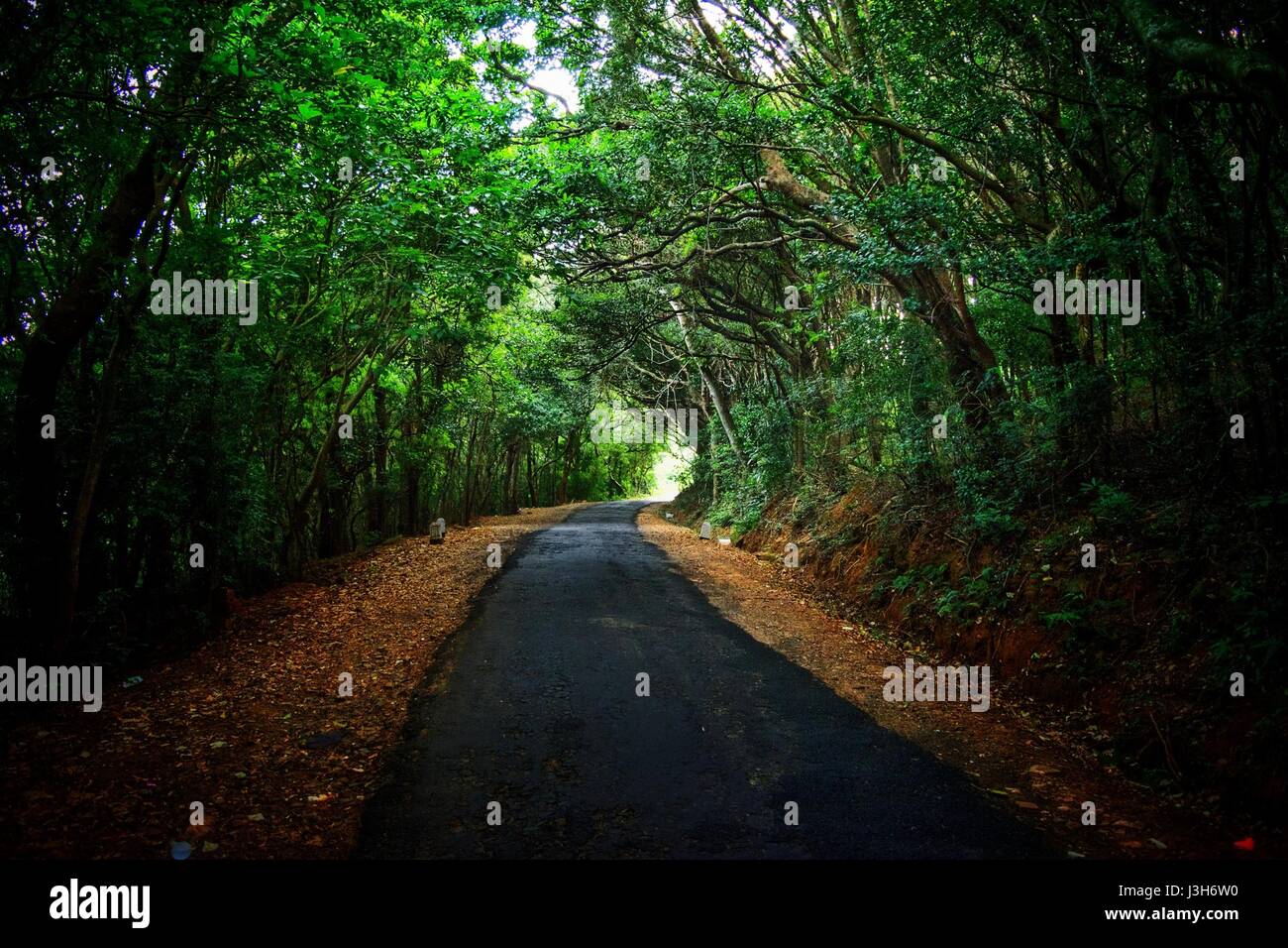 Pitawala pathana hi-res stock photography and images - Alamy