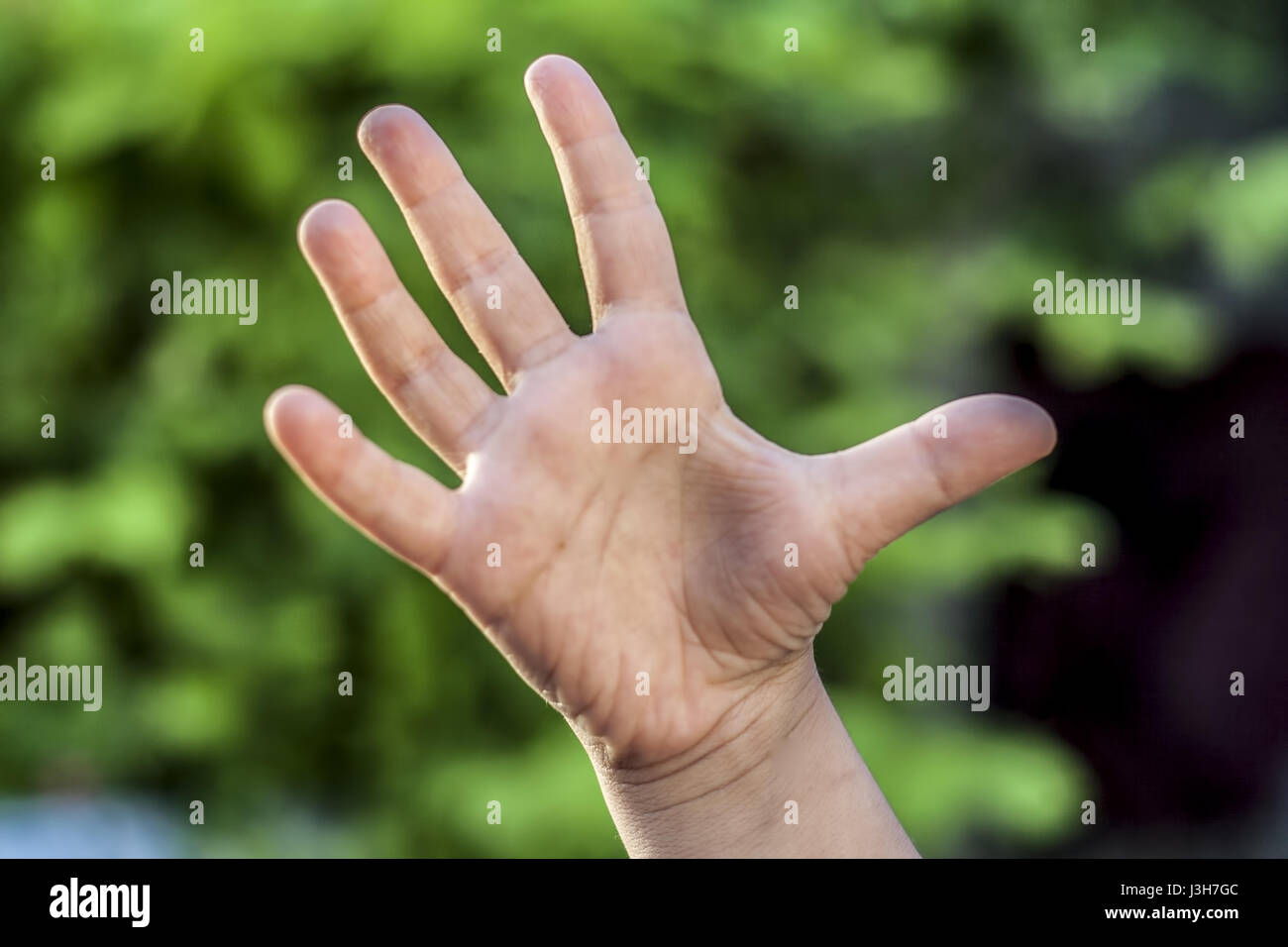 A boy raising his hand Stock Photo - Alamy