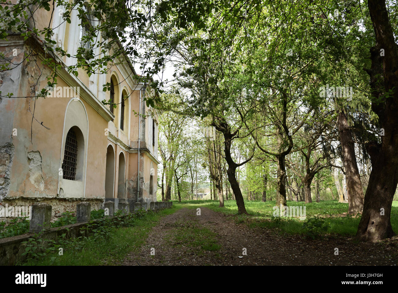 Old abandoned castle ruins in the forest. Transylvania, Romania Stock ...