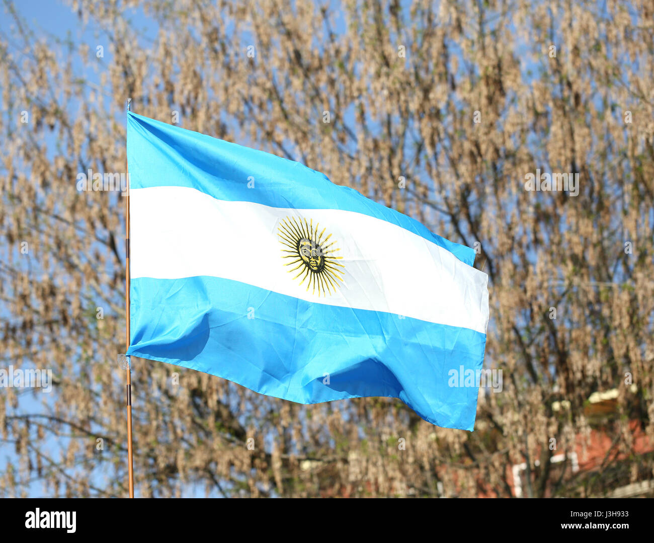 Bandiera argentina argentina hi-res stock photography and images - Alamy