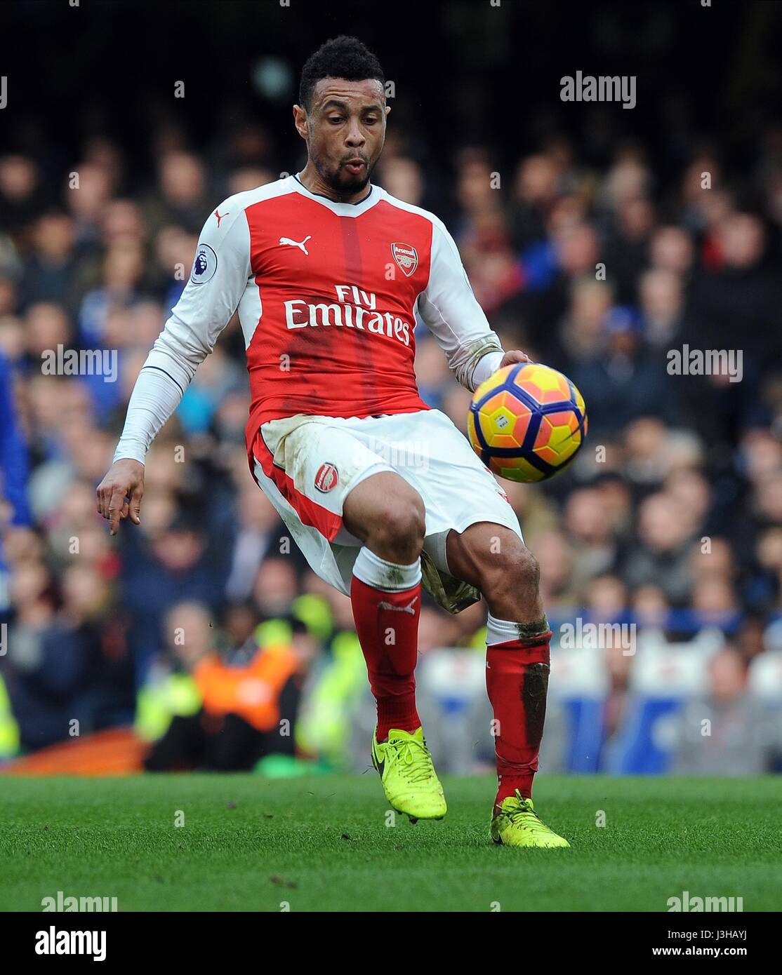 FRANCIS COQUELIN OF ARSENAL CHELSEA V ARSENAL STAMFORD BRIDGE STADIUM ...
