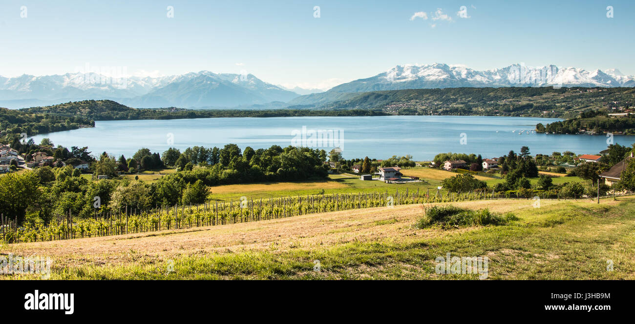 Landscape of Piedmont Italy Lake Viverone Piemonte and the surrounding ...