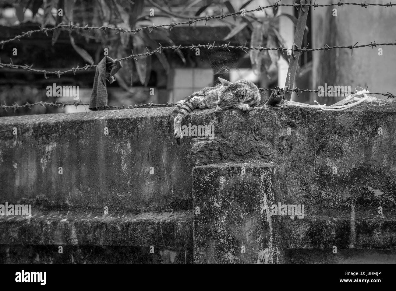 Myanmar and Burma Stock Photo - Alamy