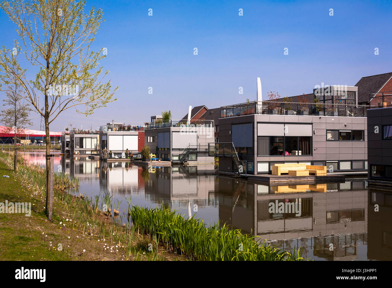 NLD, the Netherlands, Utrecht, flood protected amphibian homes in the ...